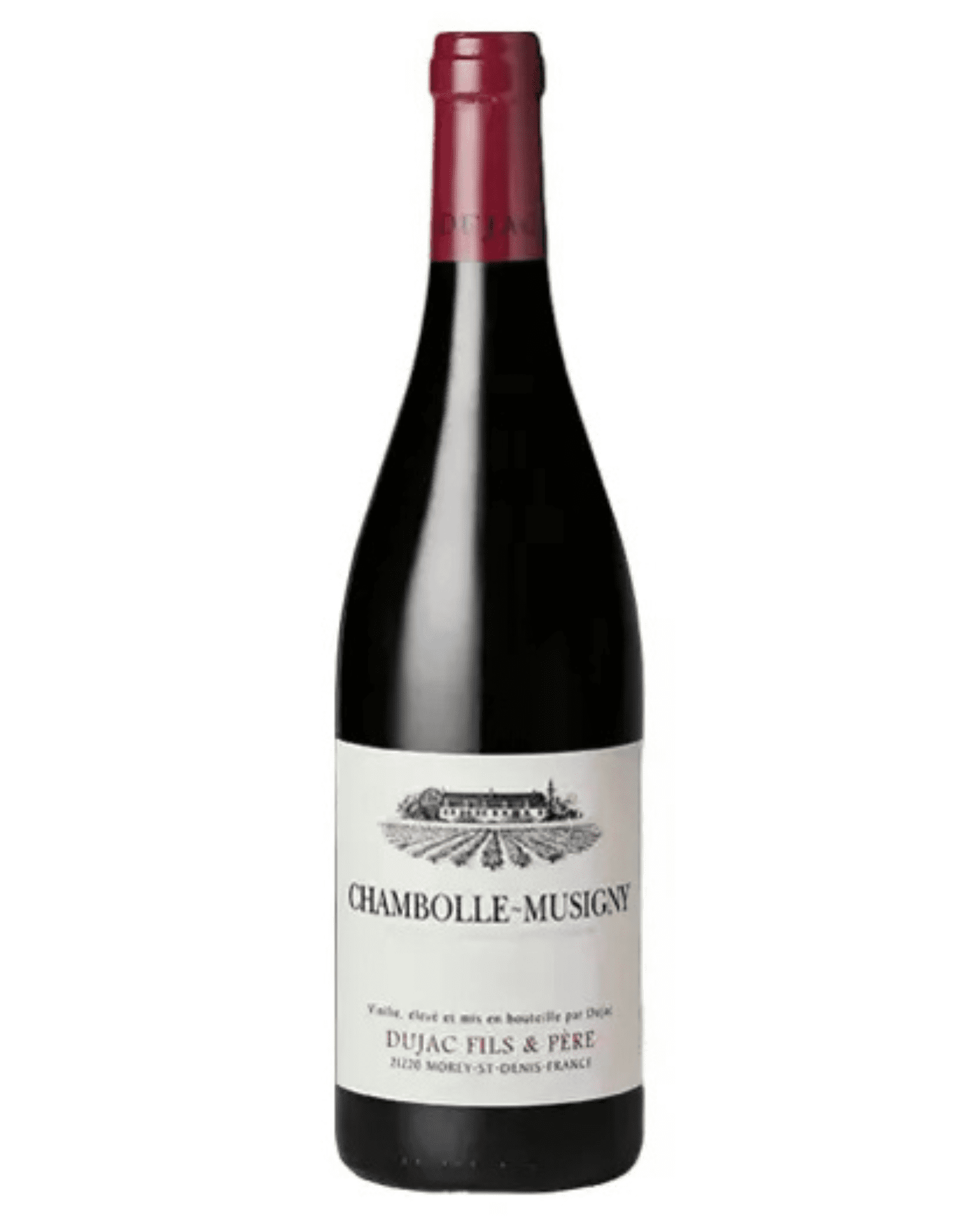 Dujac Pere et Fils Chambolle Musigny 2023